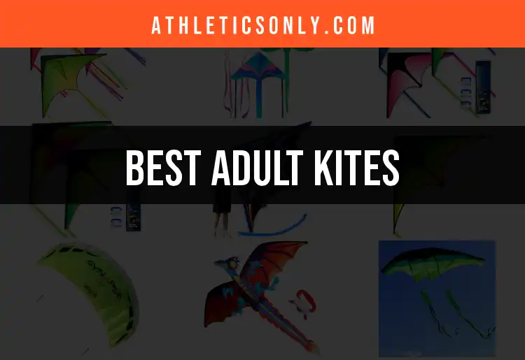 11 Best Adult Kites for Thrilling Adventures