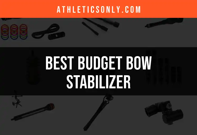 Top 10 Budget Bow Stabilizers for Every Archer