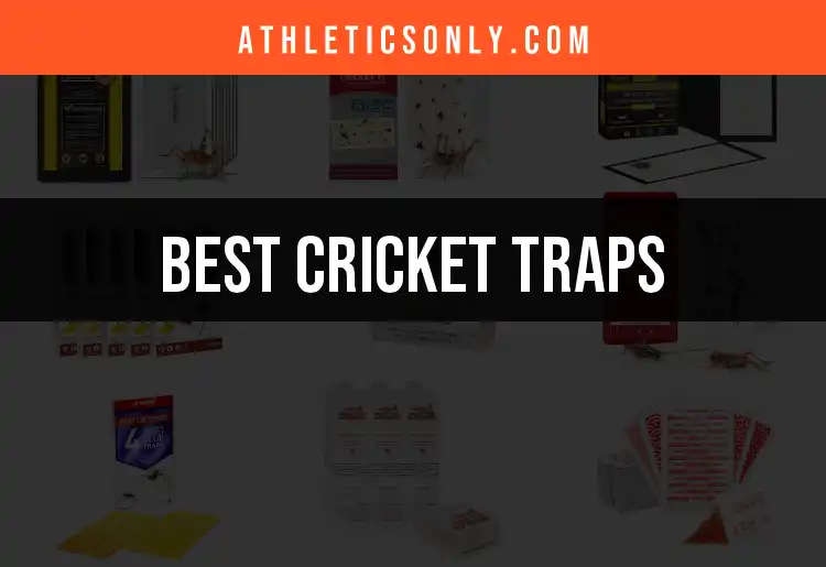 15 Best Cricket Traps to Catch Pests Easily