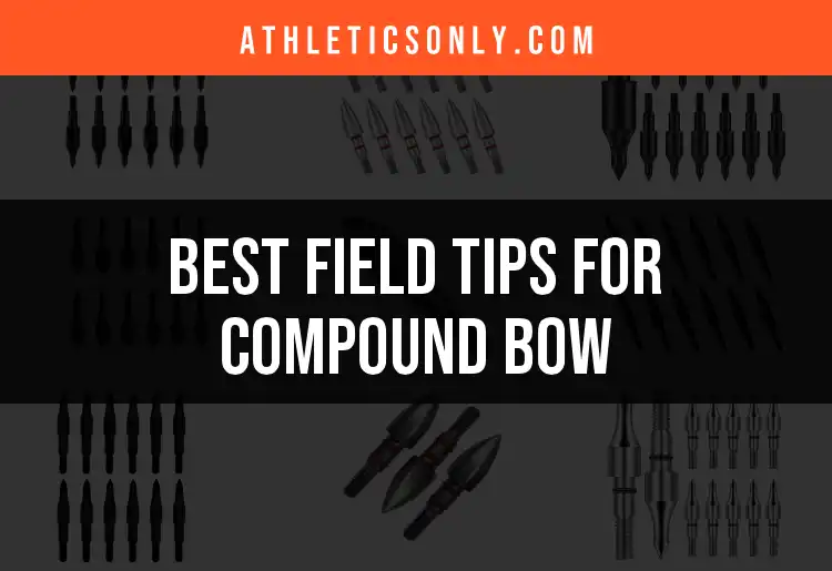 10 Essential Field Tips for Your Compound Bow Accuracy