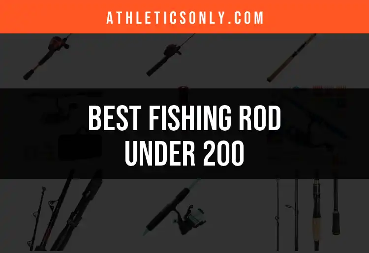 14 Best Fishing Rods Under $200 for Every Angler