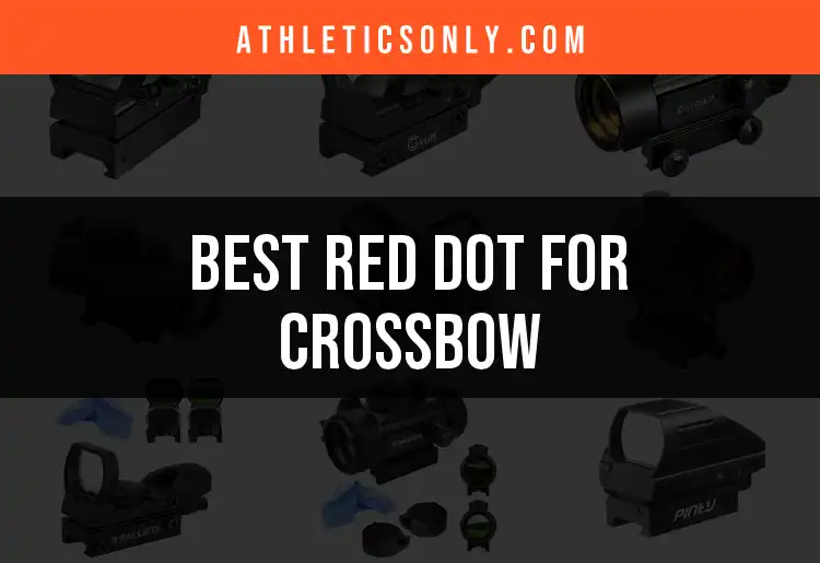 12 Best Red Dots for Crossbow Precision and Performance